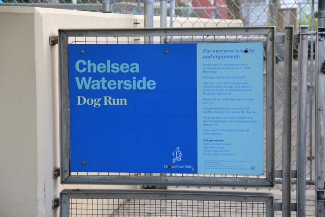 Chelsea Waterside Park | New York City Dog - Part 1